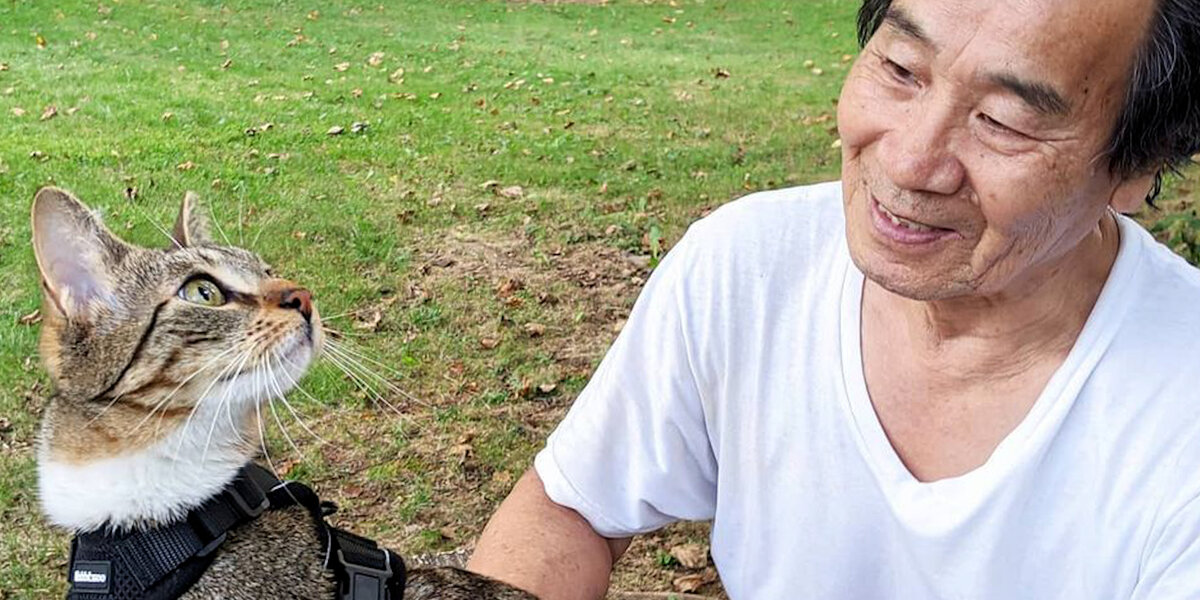 Dad Who Swore He Wasn't A Cat Person Fosters 75 Kittens - Videos - The Dodo