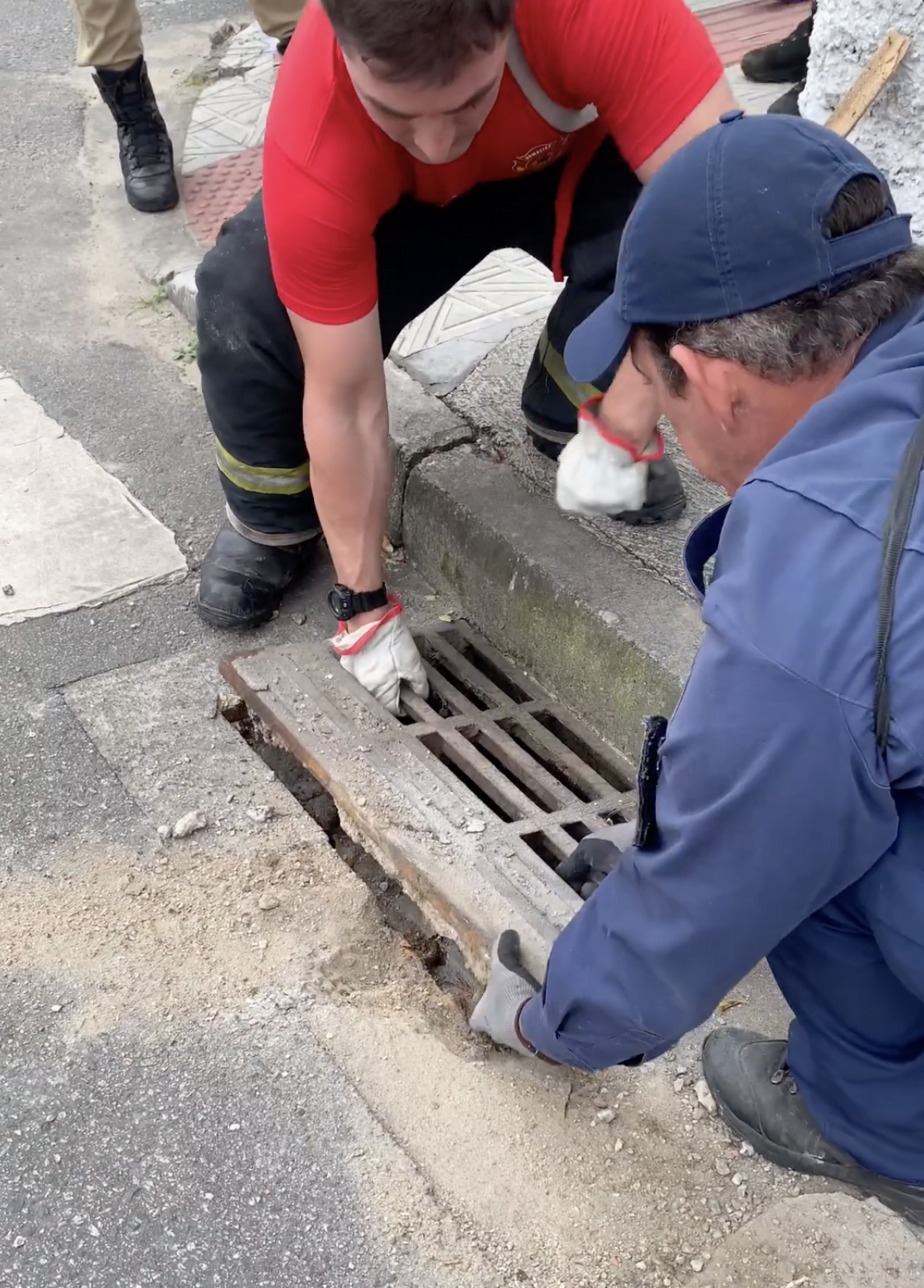Rescuers Lift Storm Drain And Come Face-To-Face With World's Largest ...