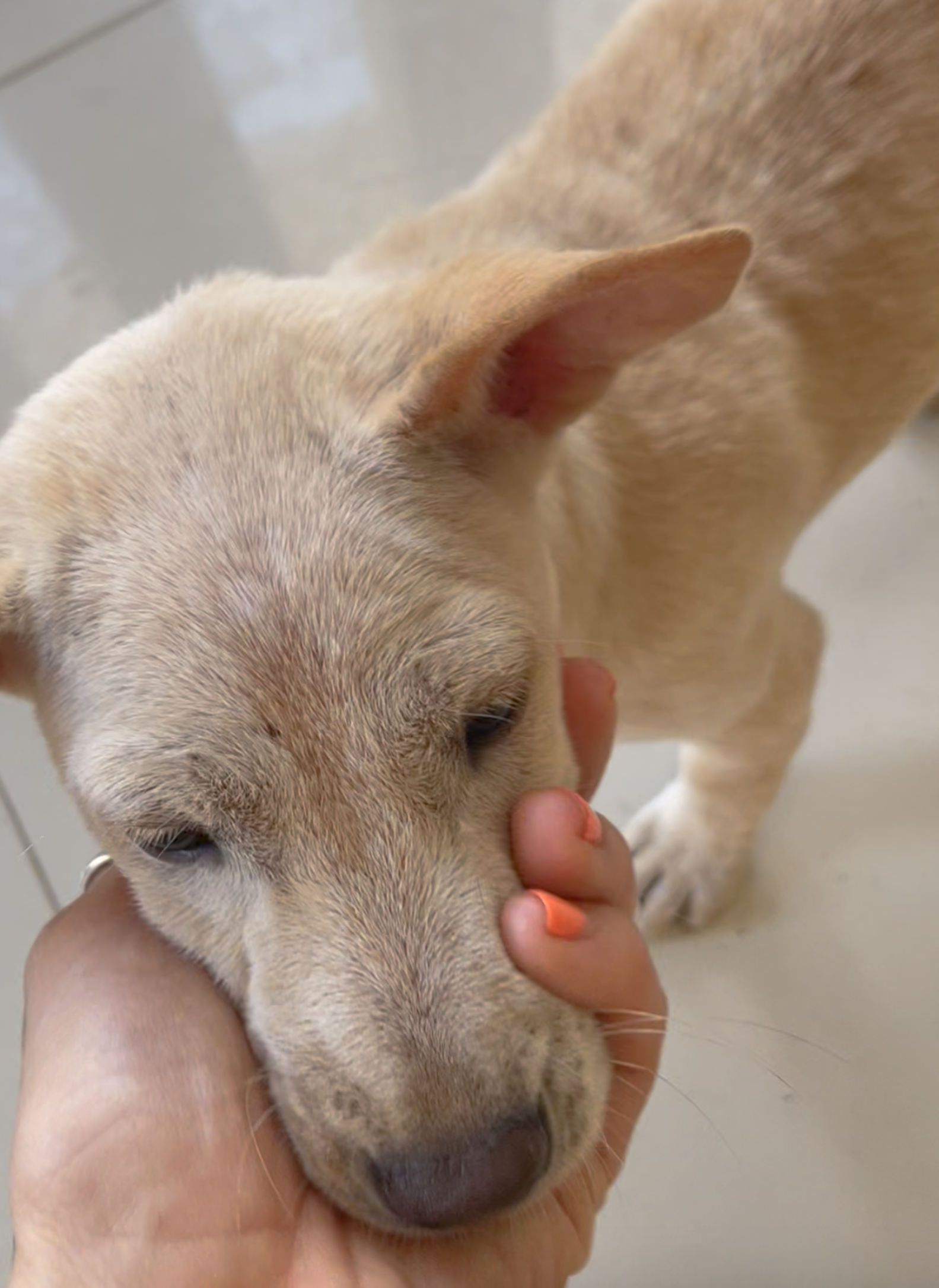 Woman Hears 'Screams' And Pulls Over To Find Pink, Wrinkly Baby In A ...