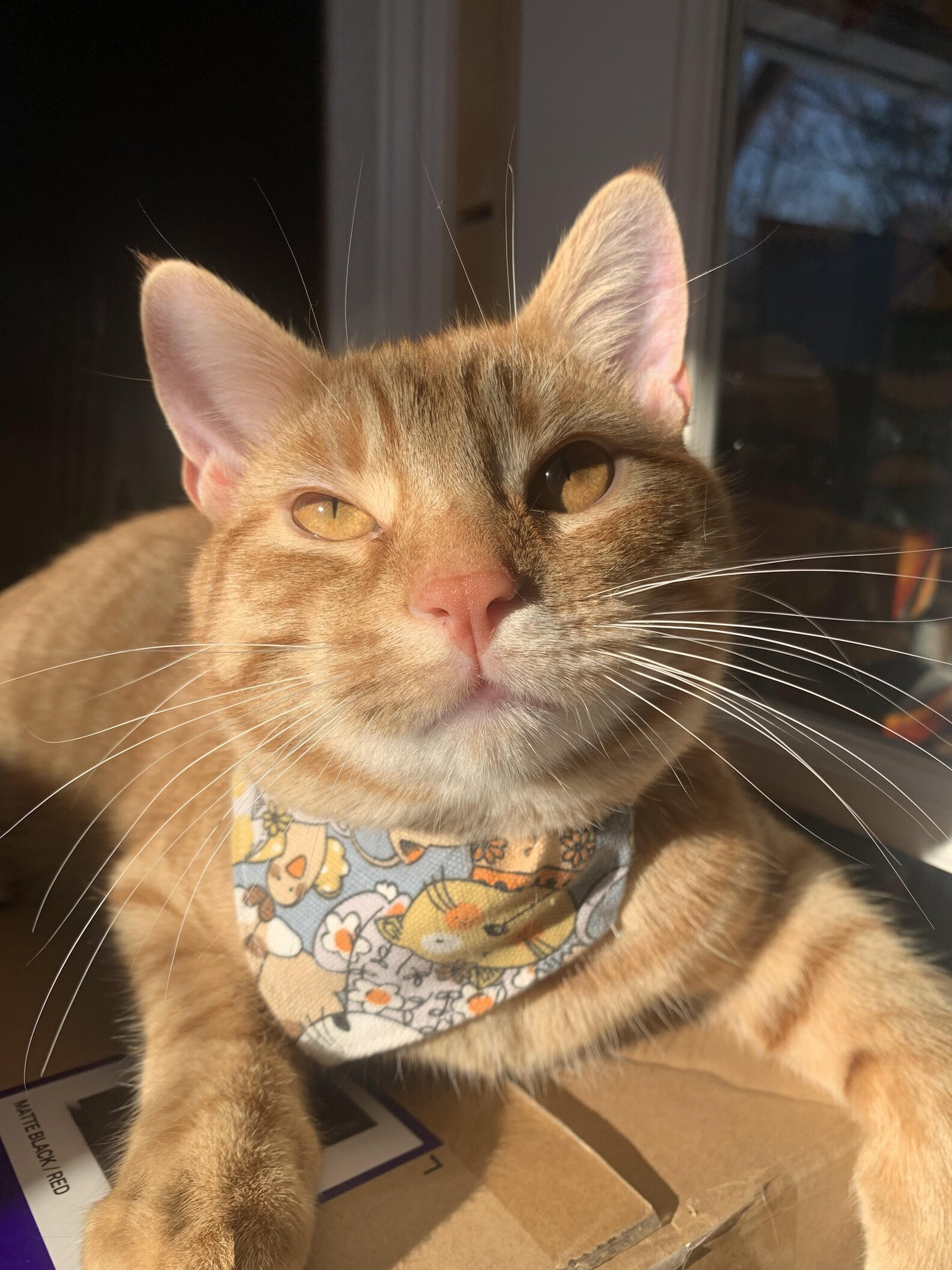 Woman's Unique Tattoo Has A Special Double Meaning - The Dodo