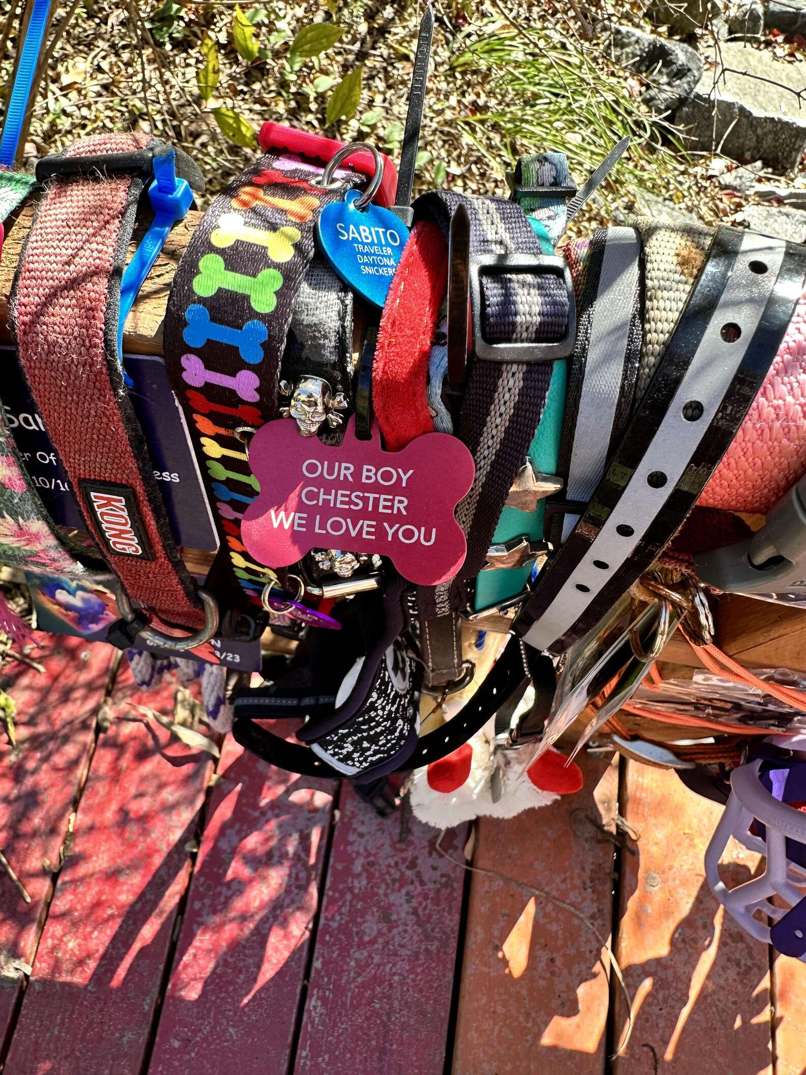 Dog Pays Homage To Lost Friends At Real-Life Rainbow Bridge - The Dodo