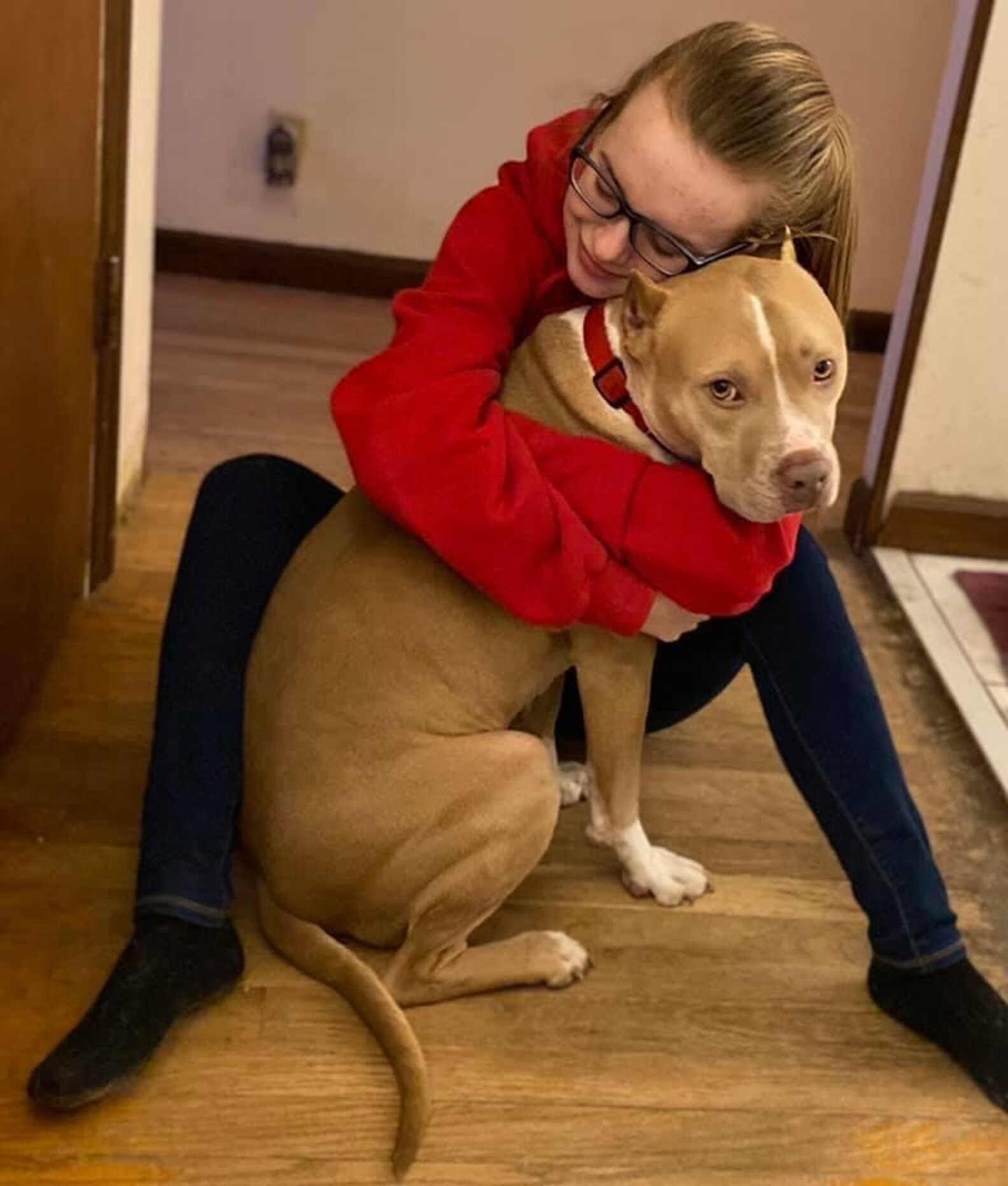 Puffy-Cheeked Dog Left Tied To Fence Reveals A Beautiful Face After ...