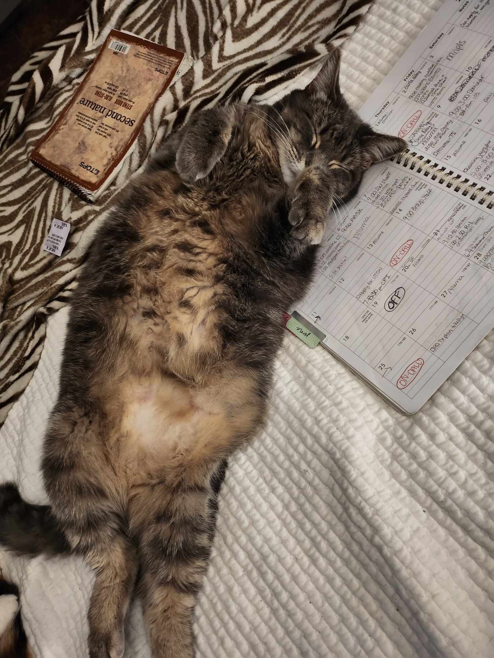 Woman S Freeloading Roommate Makes Things At Home A Little Awkward