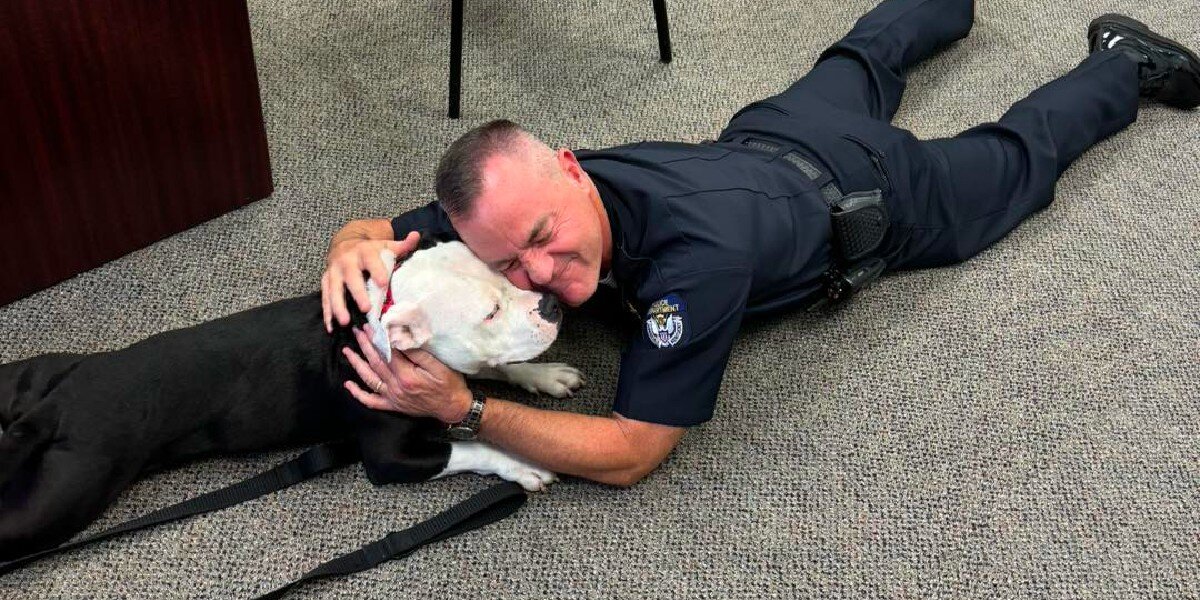 Shelter Dog Visits Police Department For One Day And Ends Up Staying ...