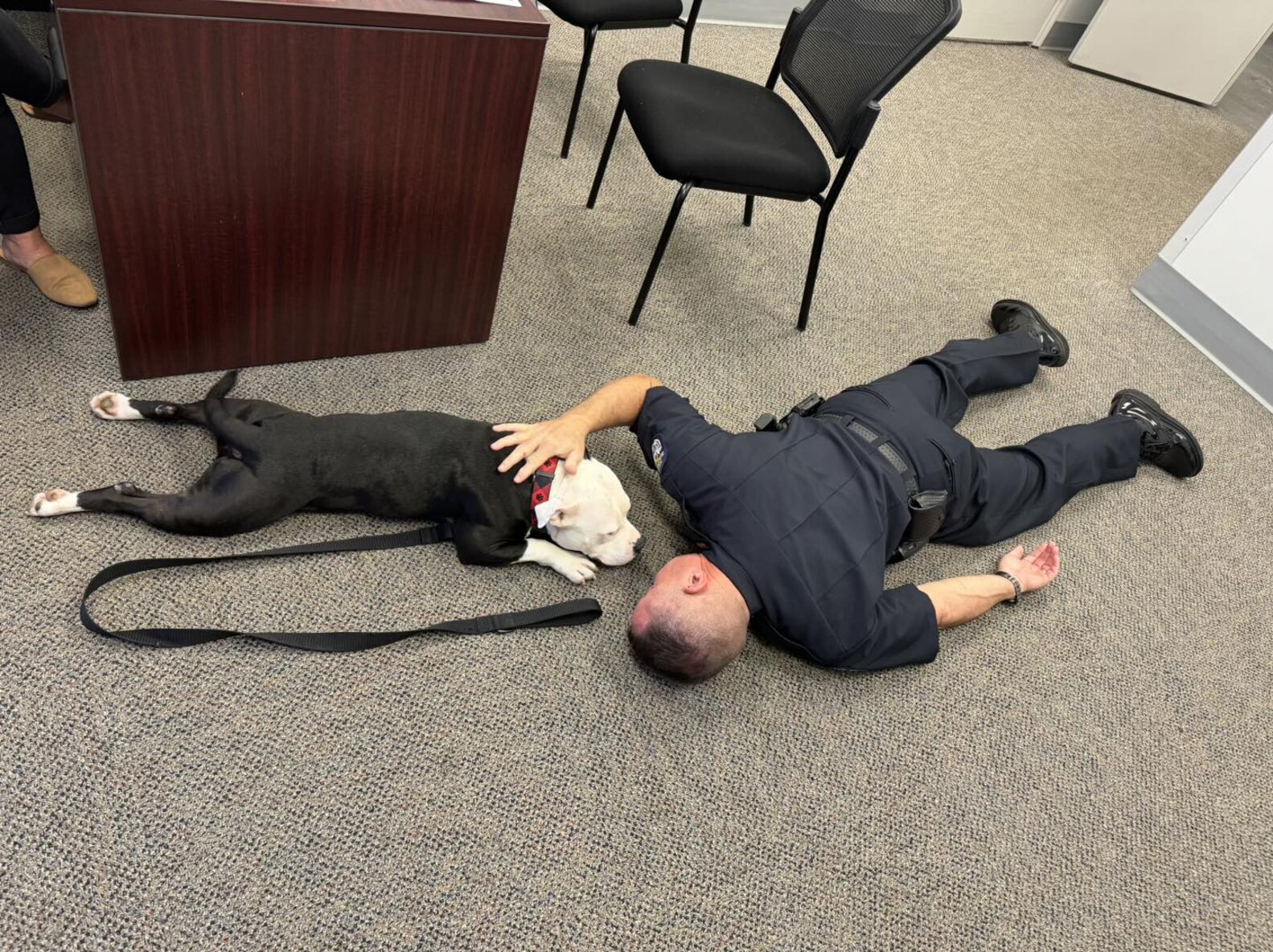 Shelter Dog Visits Police Department For One Day And Ends Up Staying ...