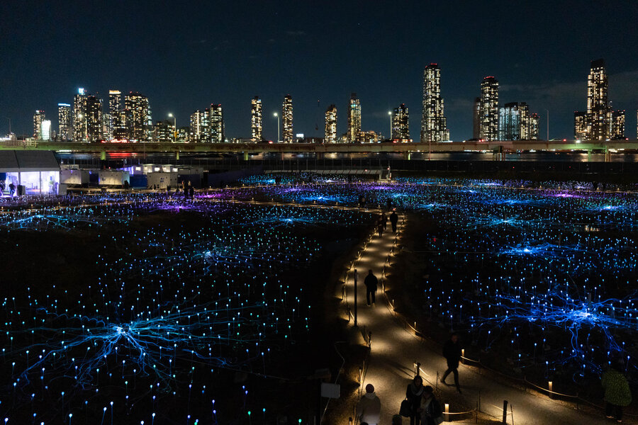 Field of Light Outdoor Art Installation Brings a Ethereal Aura ...