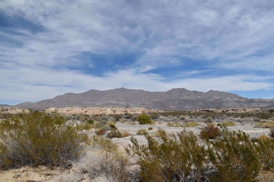 Nevada's Ice Age Fossils State Park Opening Date Is Almost Here - Thrillist