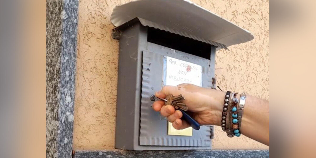 Woman Goes To Check Mailbox And Discovers A Little Family Living Inside ...