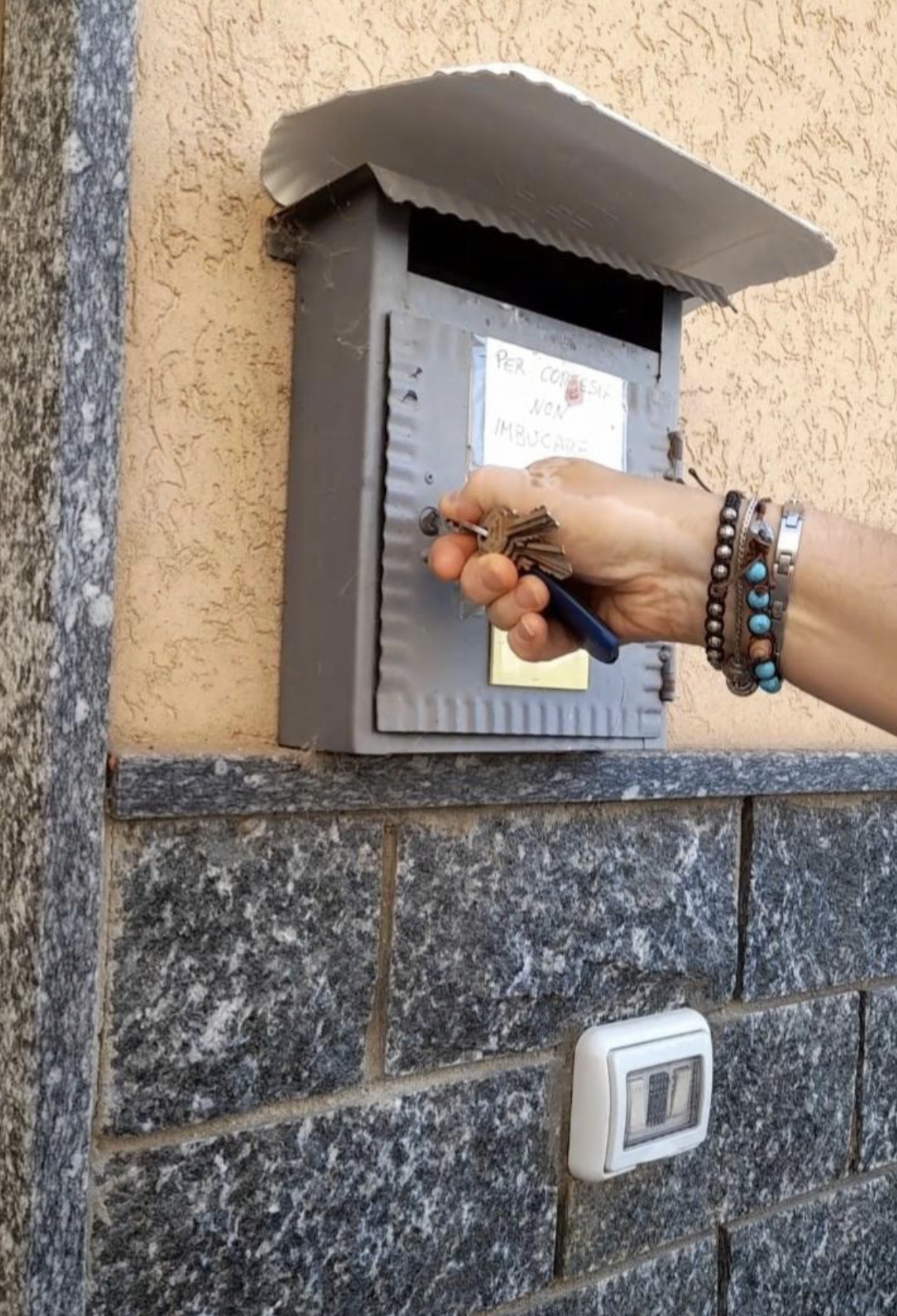 Woman Goes To Check Mailbox And Discovers A Little Family Living Inside ...