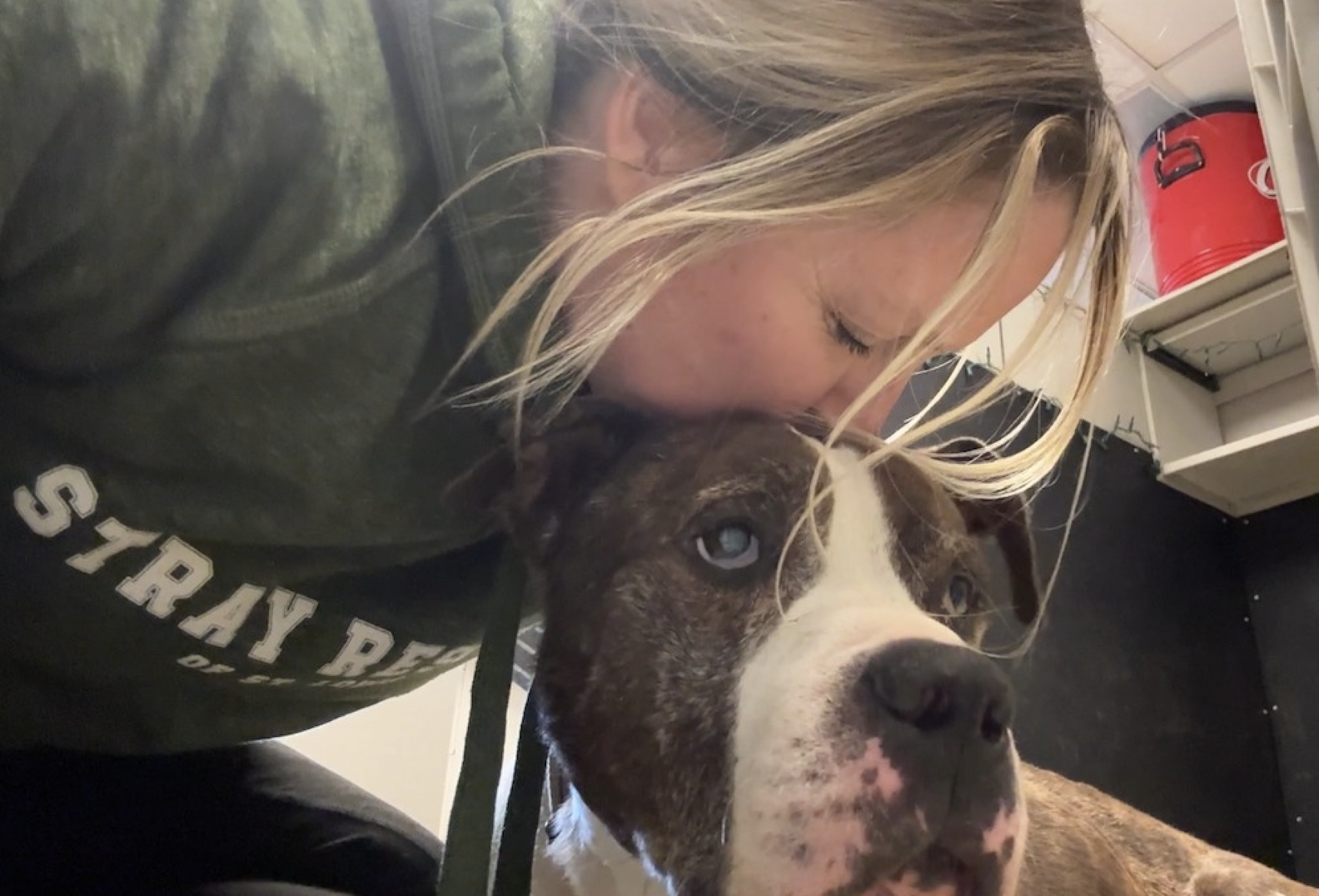 Lonely Stray Dog Curls Up On Stranger’s Porch To Keep Warm During ...