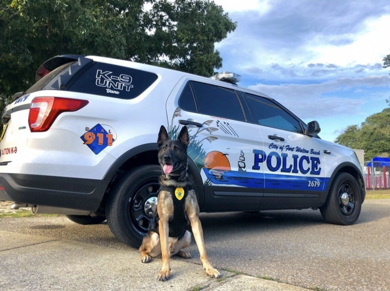 Retiring Police K9 Gets The Sweetest Send-Off After Years Of Faithful ...