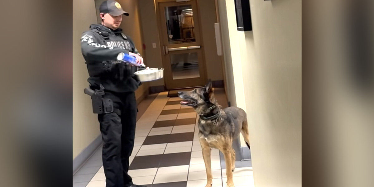 Retiring Police K9 Gets The Sweetest Send-Off After Years Of Faithful ...
