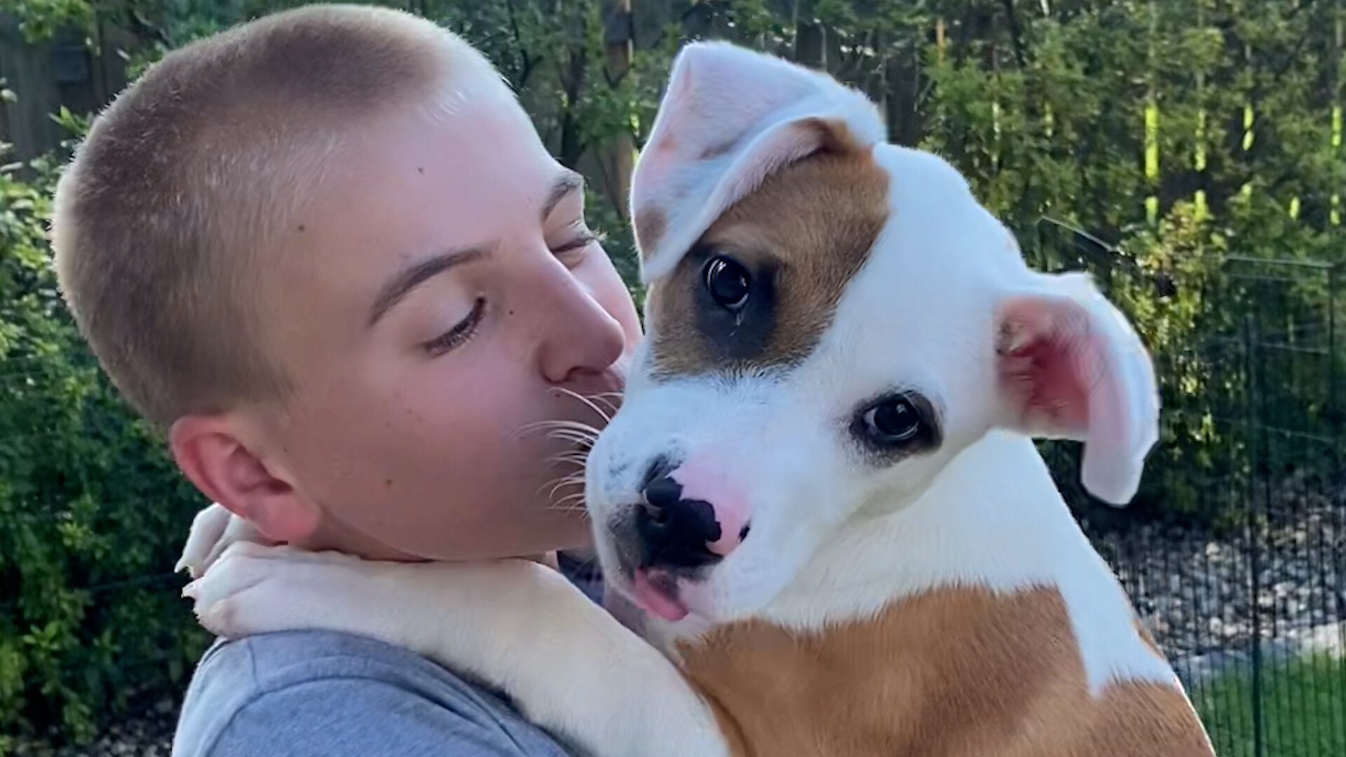 This Little Boy Has Saved HUNDREDS Of Shelter Dogs - Videos - The Dodo