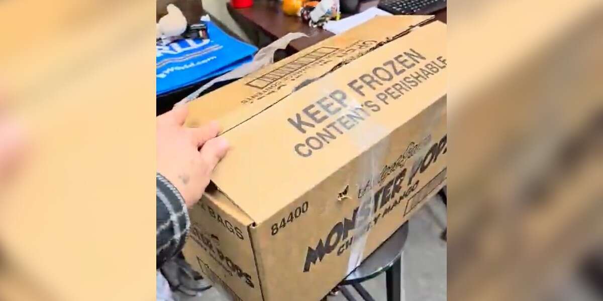 Shelter Staff Arriving For Work Discovers Sealed Cardboard Box With ...