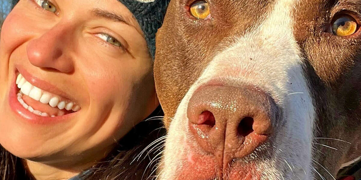 Pittie Kicked Out Of Dog Park Does The Most Amazing Thing - Videos ...