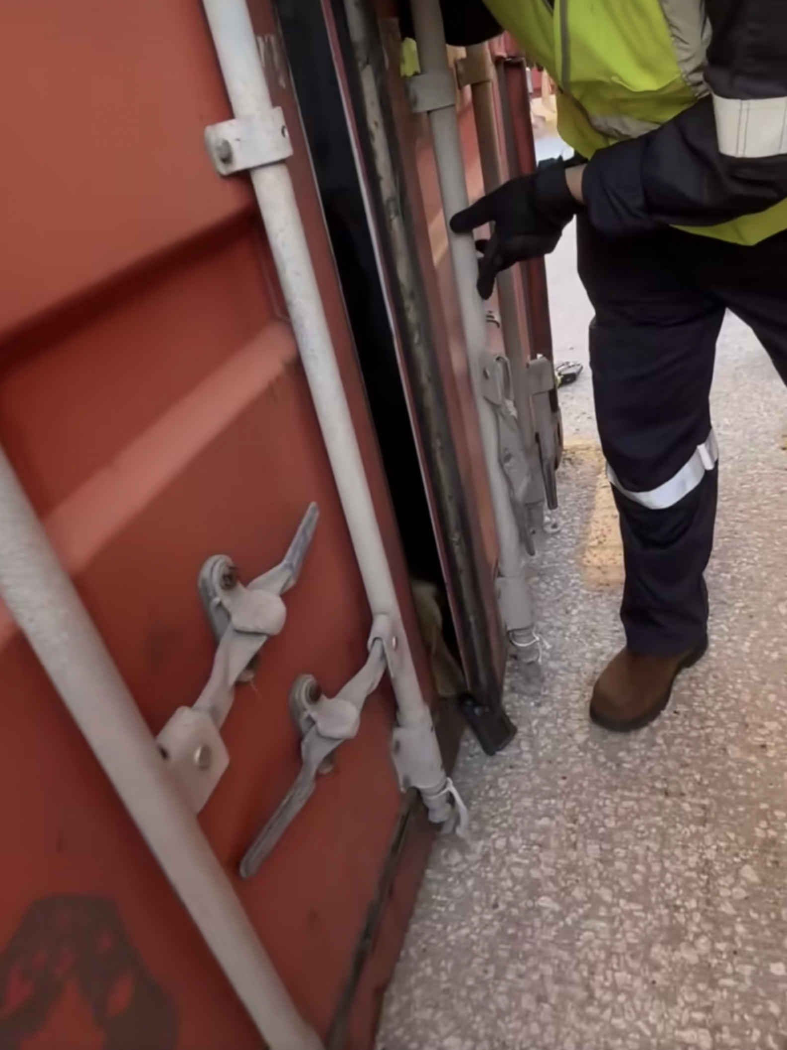 Coast Guards Inspecting Shipping Container Hear Scratching From Inside ...