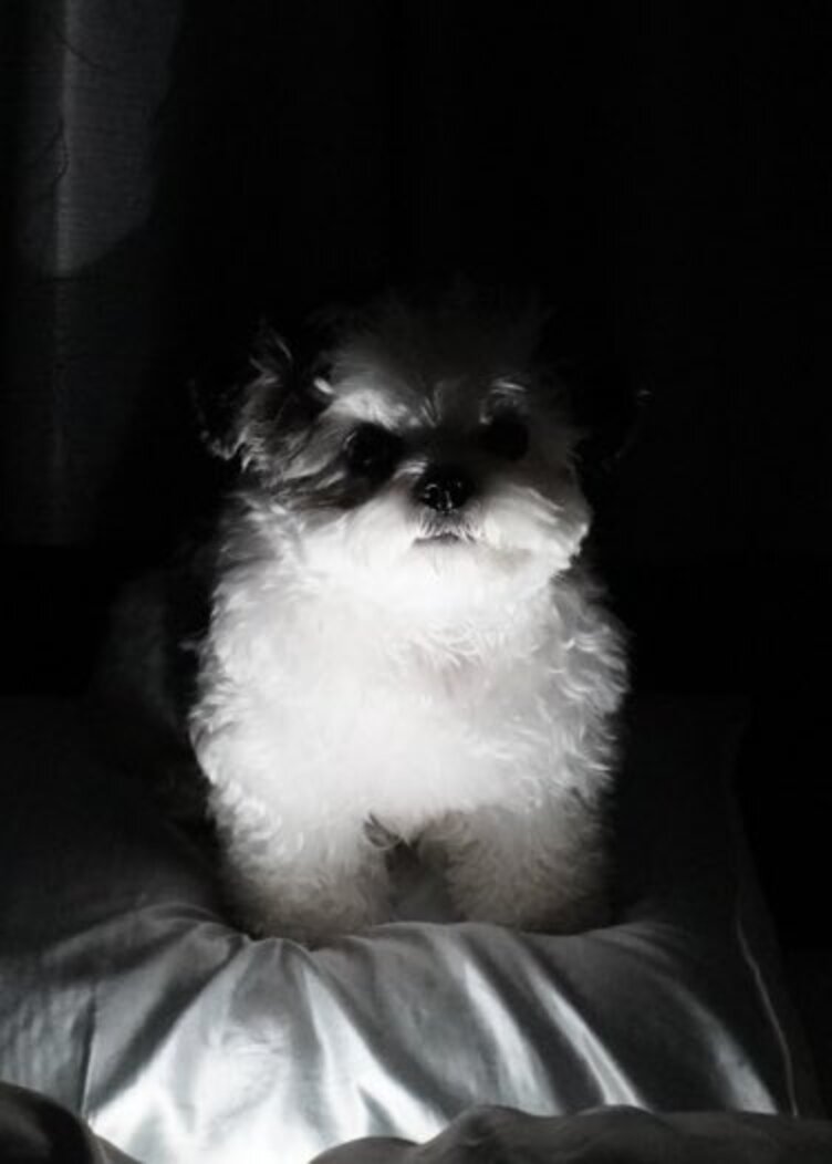Woman Wakes In The Night And Sees A Glowing Face Staring Back At Her ...