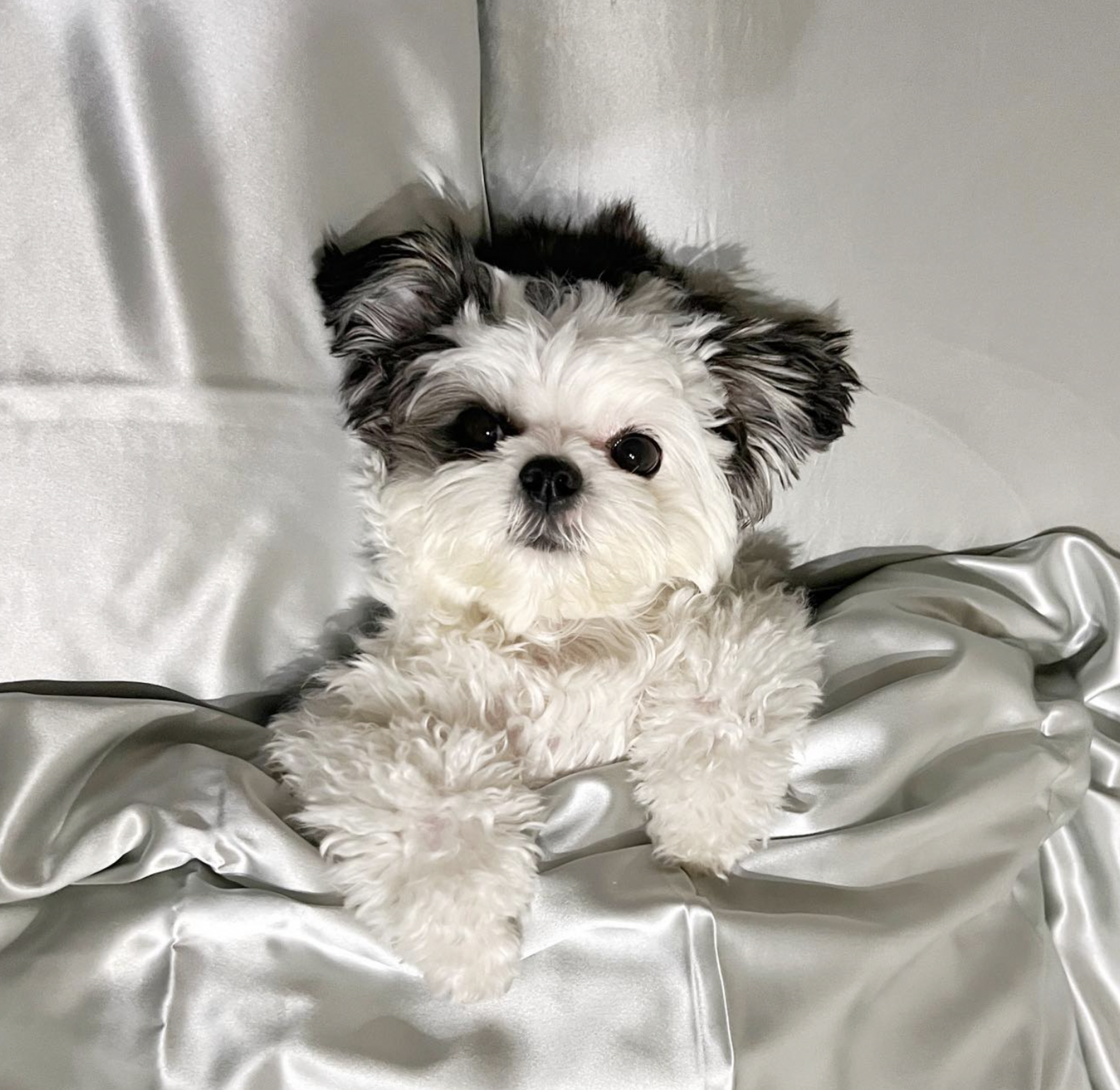 Woman Wakes In The Night And Sees A Glowing Face Staring Back At Her ...