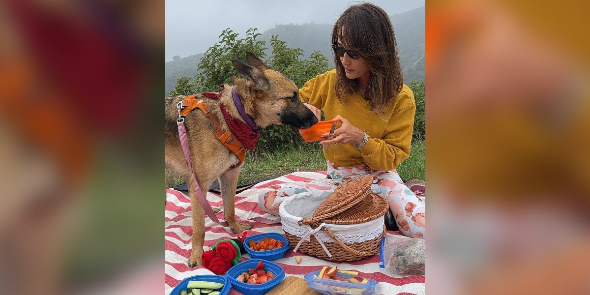 Animal Lover Maggie Q Goes On Dream Date With A Very Special Pup - The Dodo