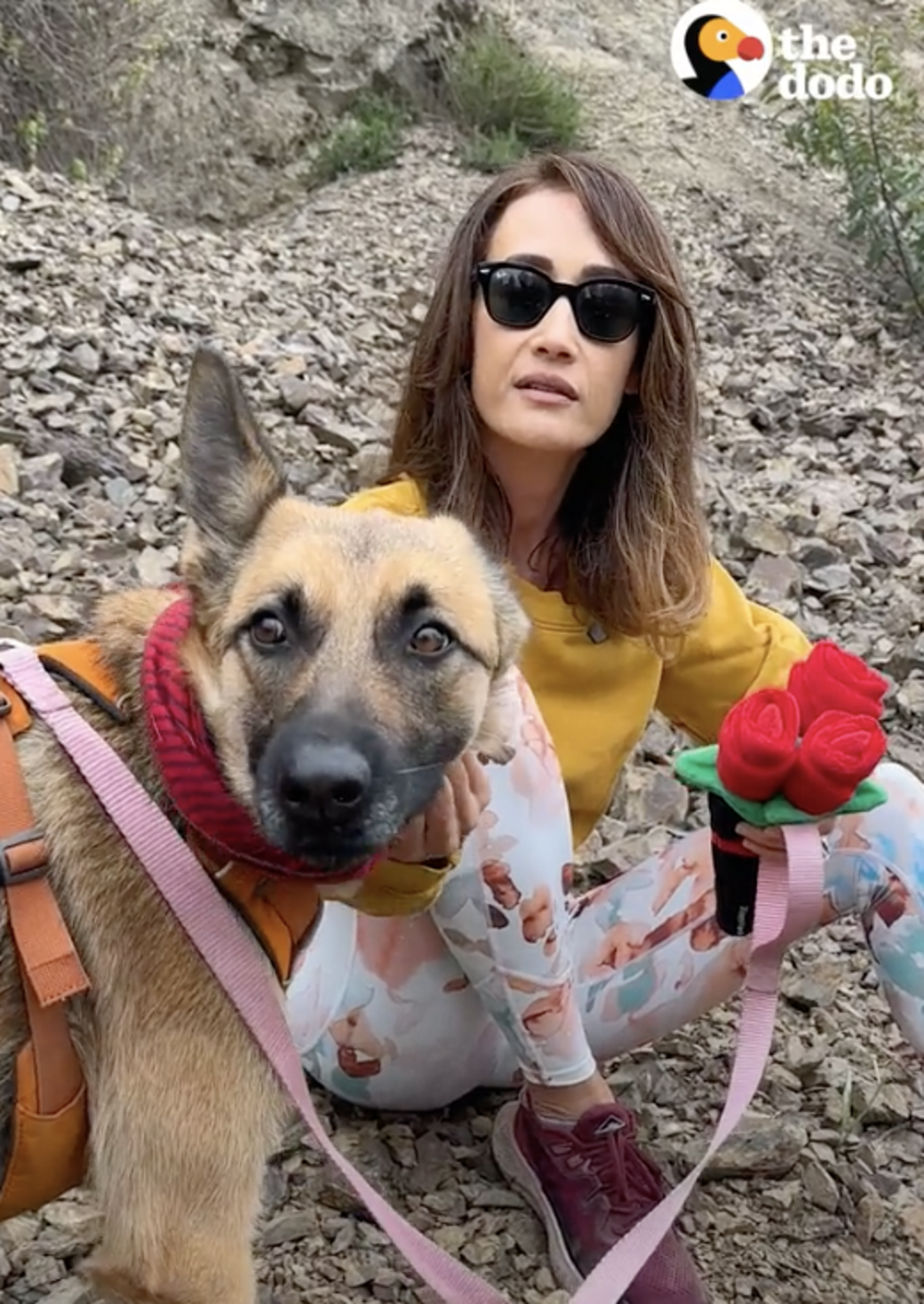 Animal Lover Maggie Q Goes On Dream Date With A Very Special Pup - The Dodo