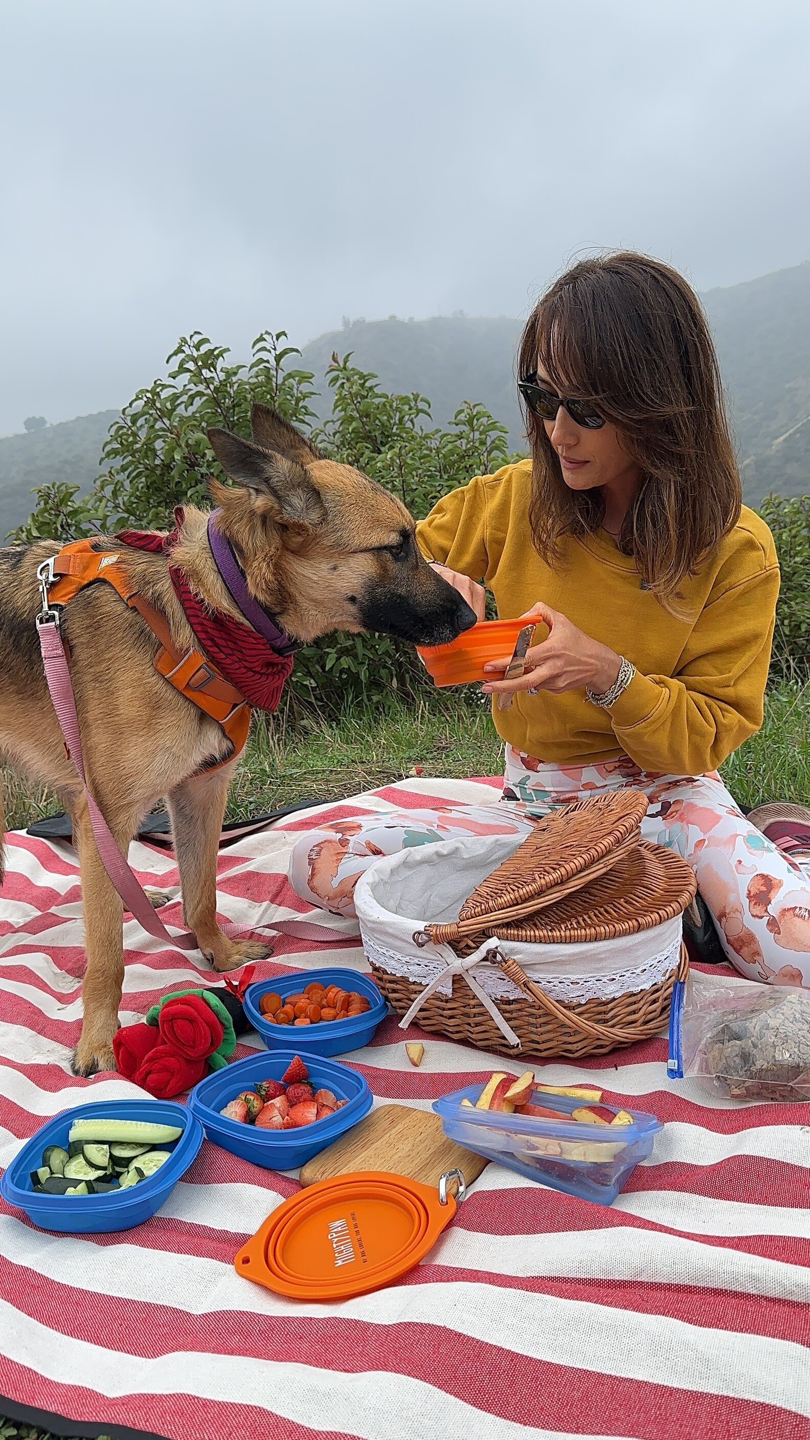 Animal Lover Maggie Q Goes On Dream Date With A Very Special Pup - The Dodo