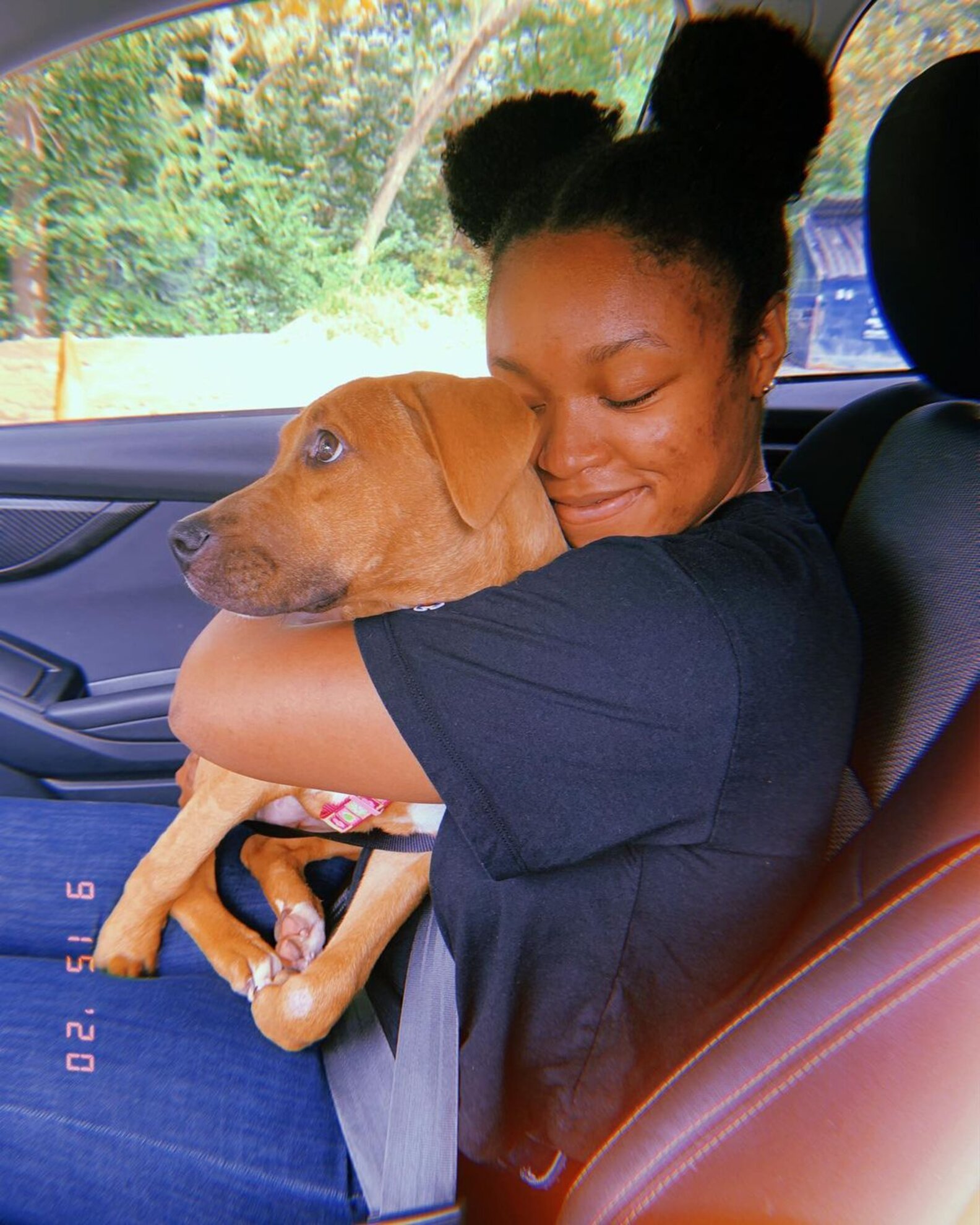 People Cross The Street To Avoid Woman's Dog — Then She Realizes Why ...