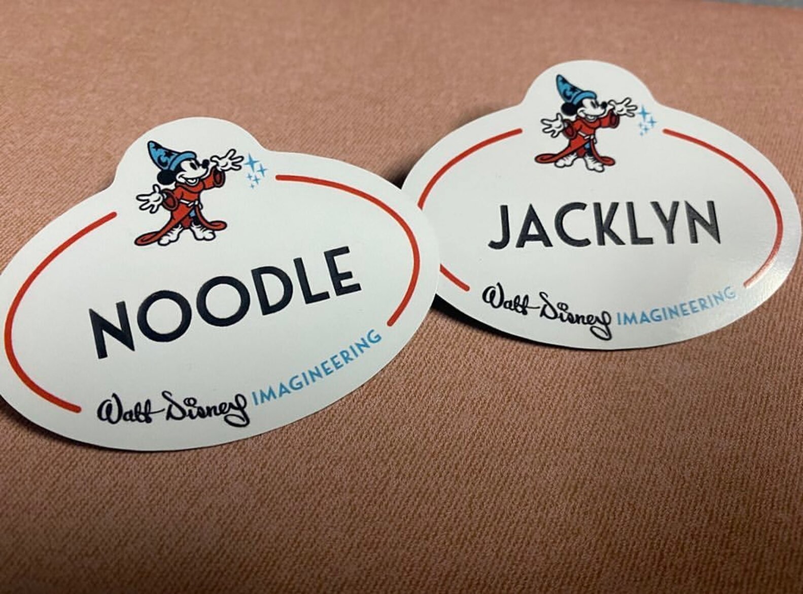 Service Dog Makes History When She 'Graduates' With A Masters Degree ...