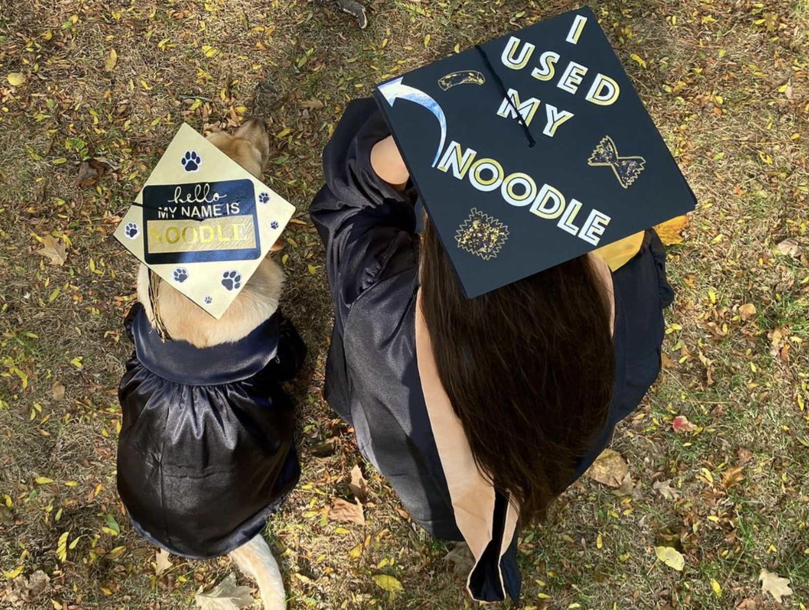 Service Dog Makes History When She 'Graduates' With A Masters Degree ...