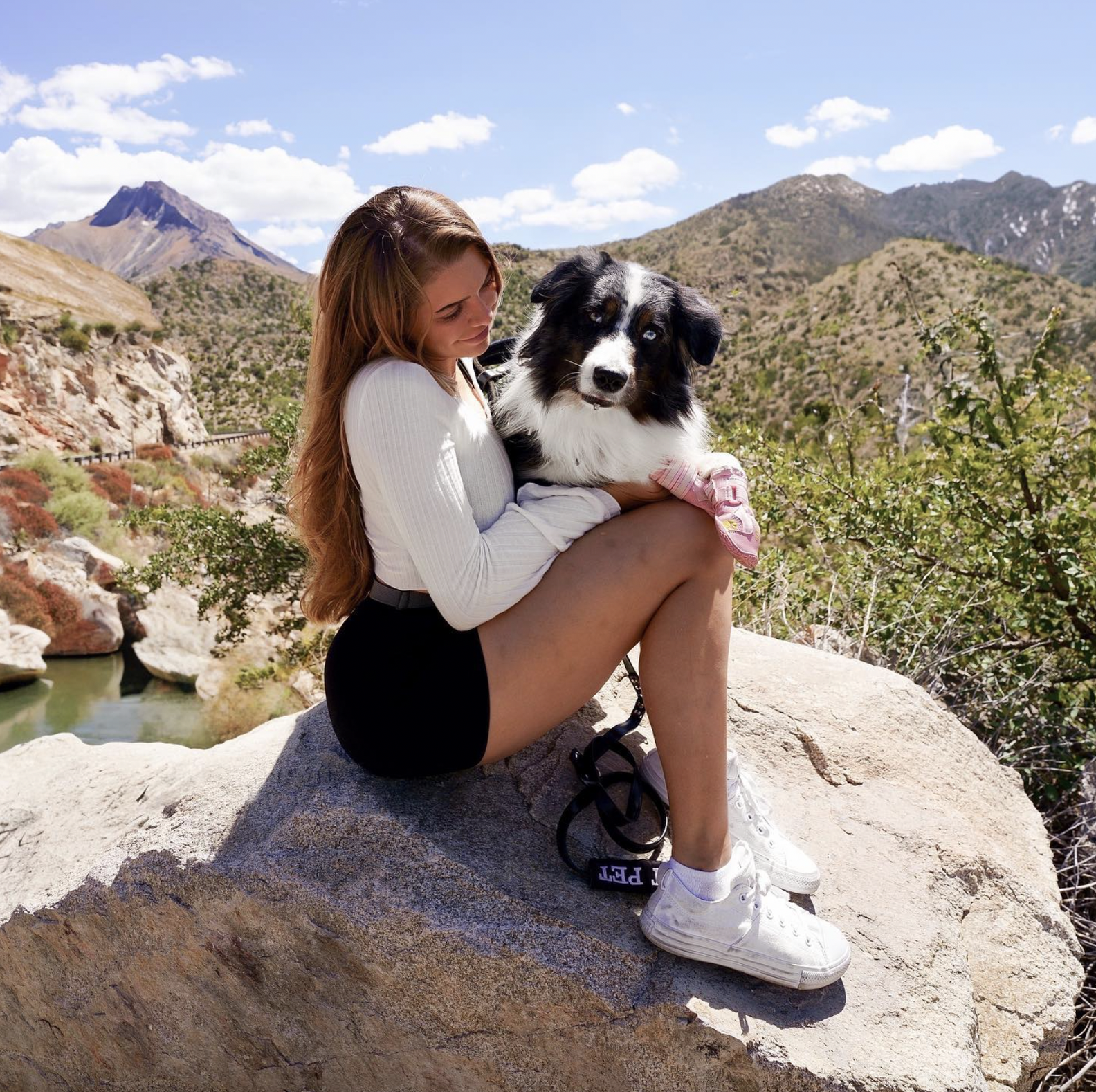 Hero Dog Notices Something Wrong With His Mom — Then Ends Up Saving Her ...