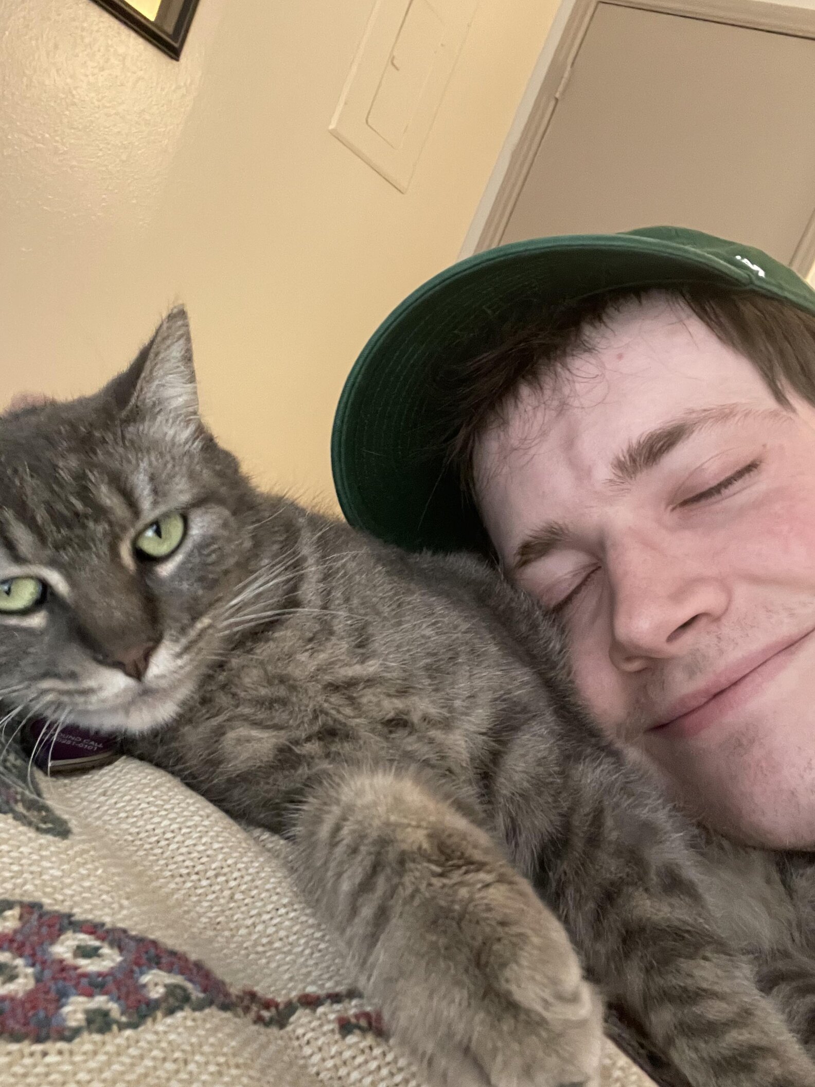 Stray Cat Shows Up On Guy's Porch And Refuses To Leave Until She's ...