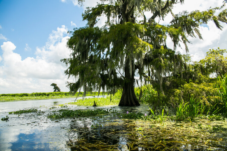 Most Beautiful Places in Louisiana: Parks, Trails & More to Visit Now ...