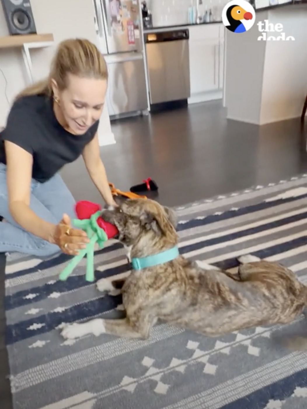 Nikki Glaser Goes On Dodo Dream Date With Dog Who’s Been Returned 3 ...