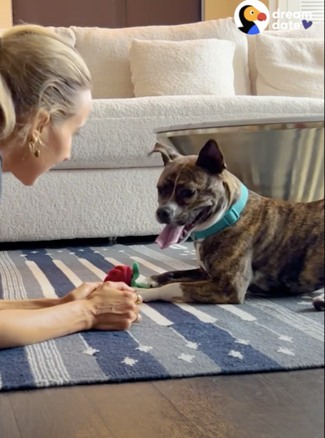 Nikki Glaser Goes On Dodo Dream Date With Dog Who’s Been Returned 3 ...