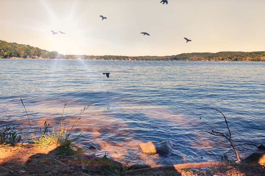 Things to Do in Bloomington, Indiana for the 2024 Solar Eclipse - Thrillist