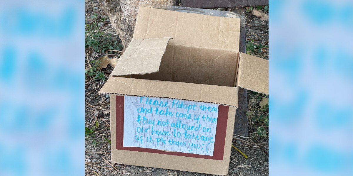 Runner Spots Box Under A Tree And Sees A Note Taped To The Side - The Dodo