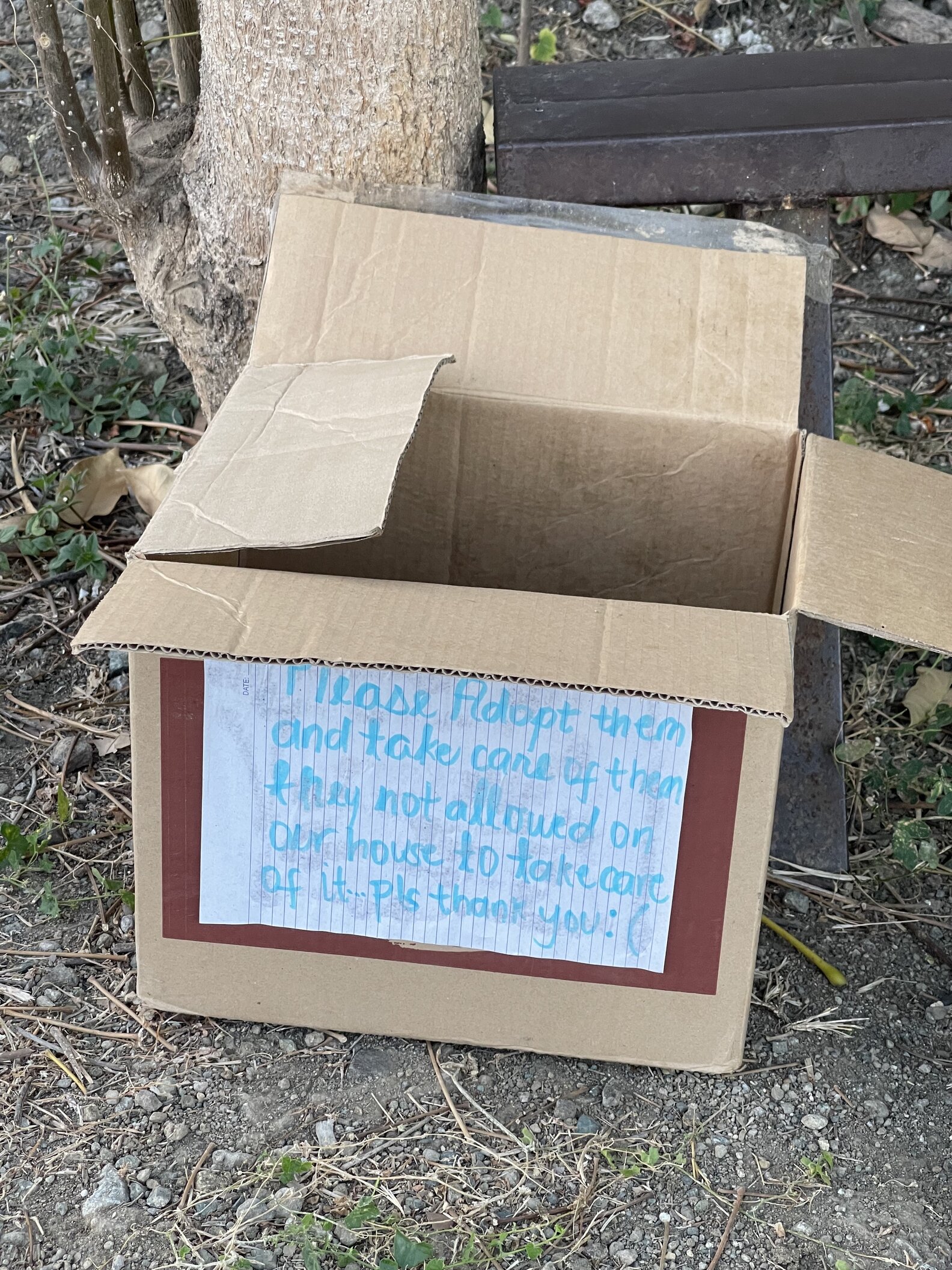 Runner Spots Box Under A Tree And Sees A Note Taped To The Side - The Dodo