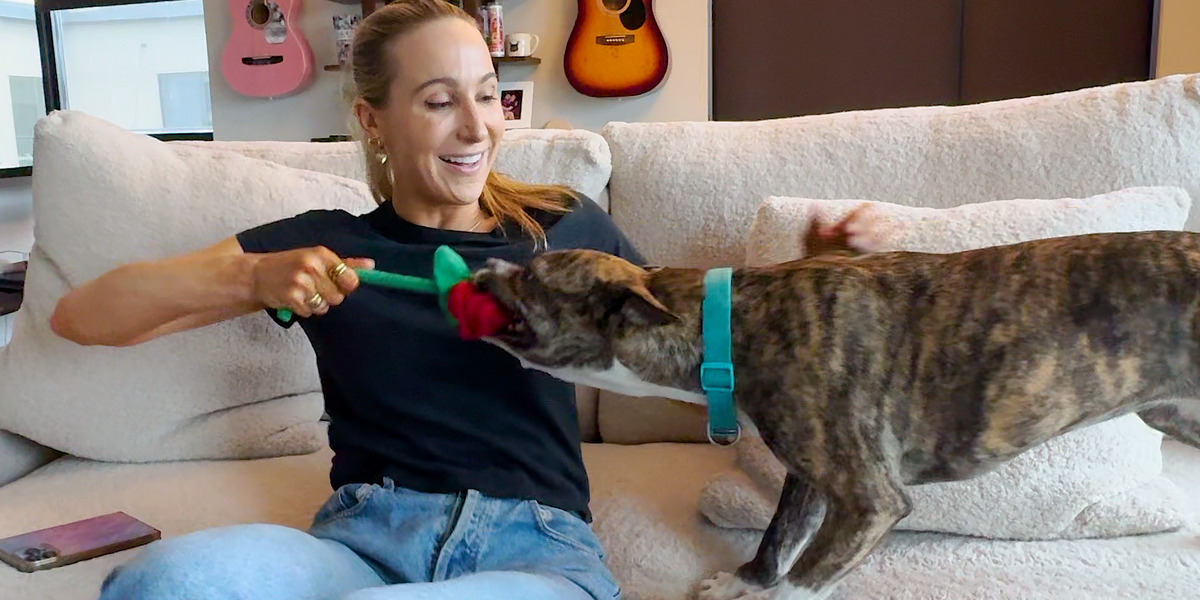 Nikki Glaser Goes on A Dodo Dream Date - Videos - The Dodo