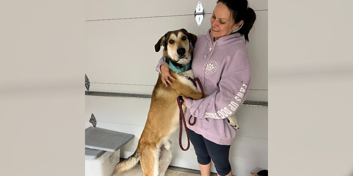 Dog Was Returned 30 Minutes After Being Adopted Because He Was 'Too Big ...