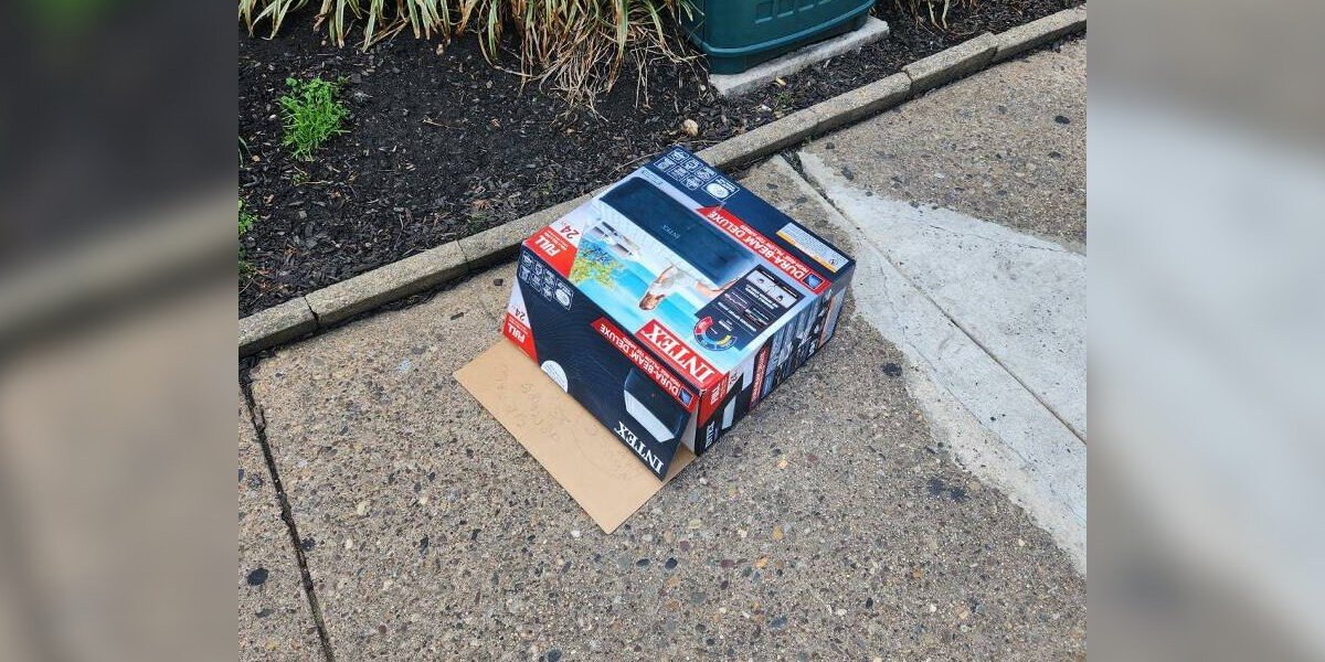 1-Day-Old Fluffy Baby Cries Out From Cardboard Box, Waiting For Someone ...