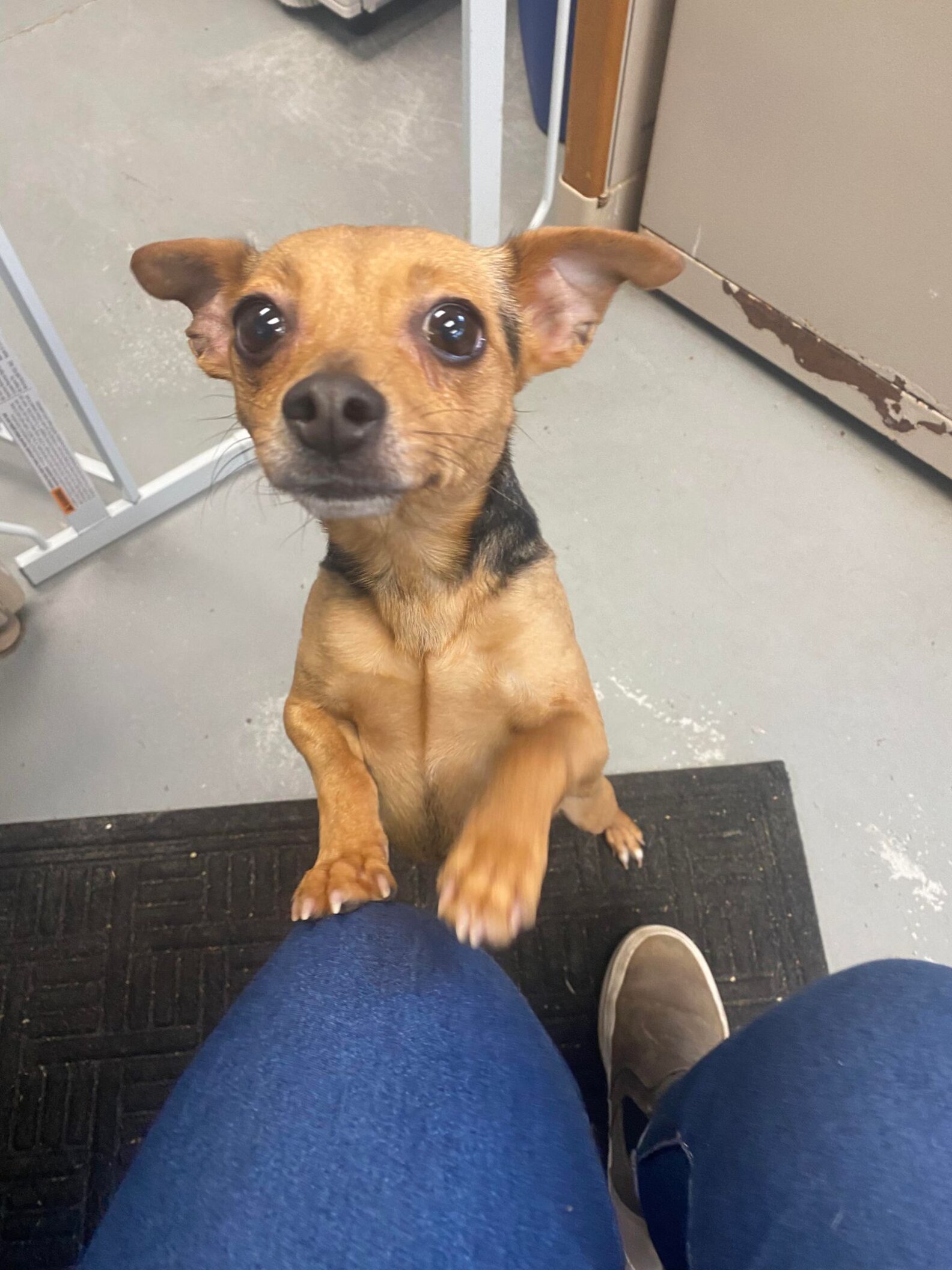 Employees Heartbroken When They See Someone Tied To 'Do Not Abandon ...