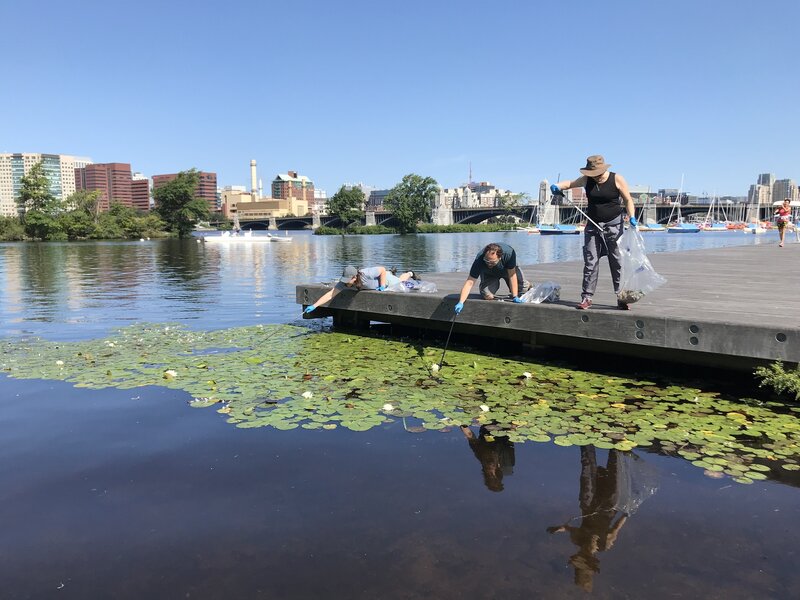 Boston Volunteer Opportunities for Groups and Individuals - Thrillist