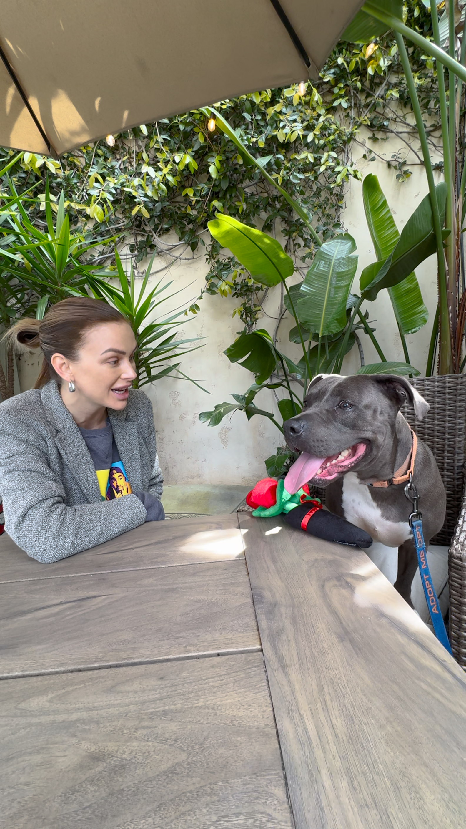 Lala Kent Goes On Dodo Dream Date With Pittie Who’s Been Single Forever ...