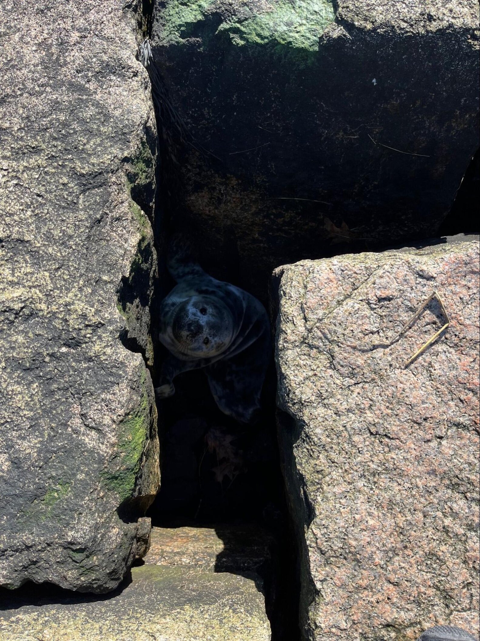 Rescuers Look Between Cracks In Rock And See A Little Face Staring Up ...