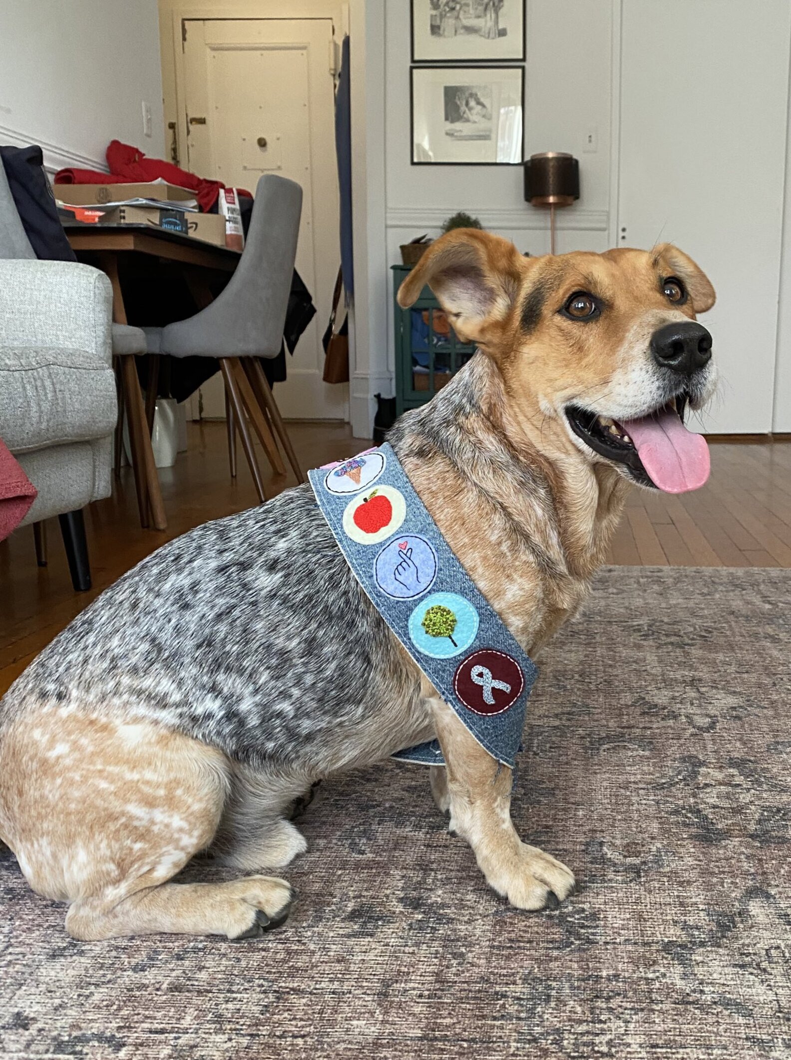 Proud Rescue Dog Earns Yet Another Merit Badge For His Good Deeds - The ...