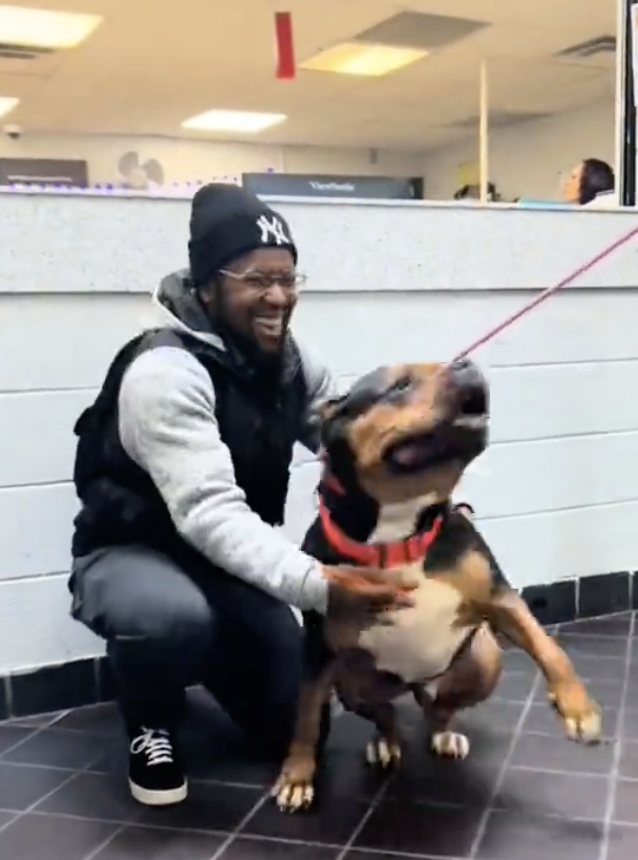Dog Who'd Been Lost For Weeks Loses His Mind When He Sees His Dad - The ...