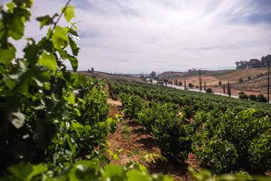 Best Temecula Wineries to Put On Your Summer Bucket List - Thrillist