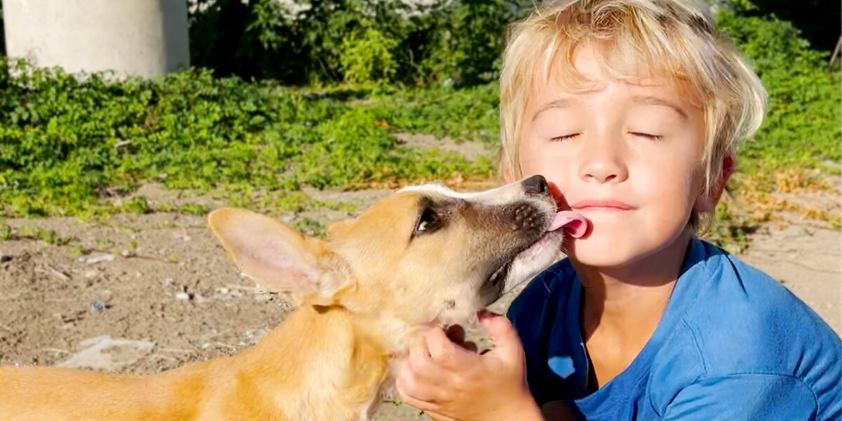 5-Year-Old Boy Insists On Rescuing Abandoned Puppies - Videos - The Dodo