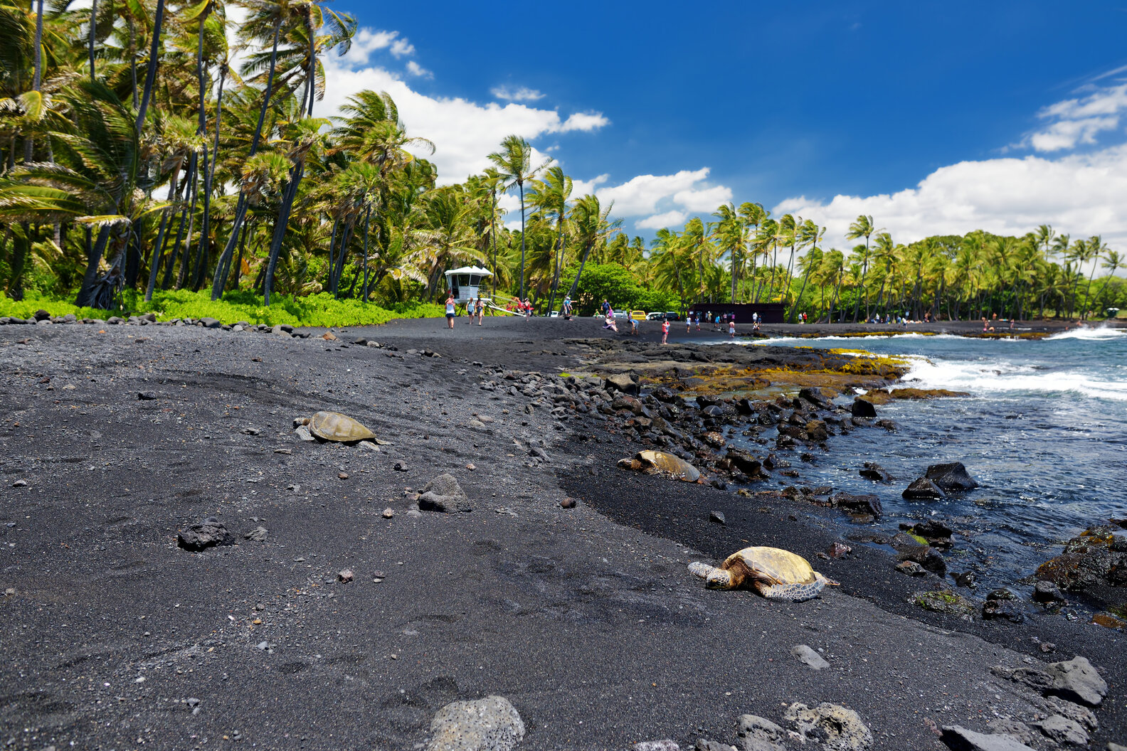 Stunning Black Sand Beaches You Have to Visit Around the World - Thrillist