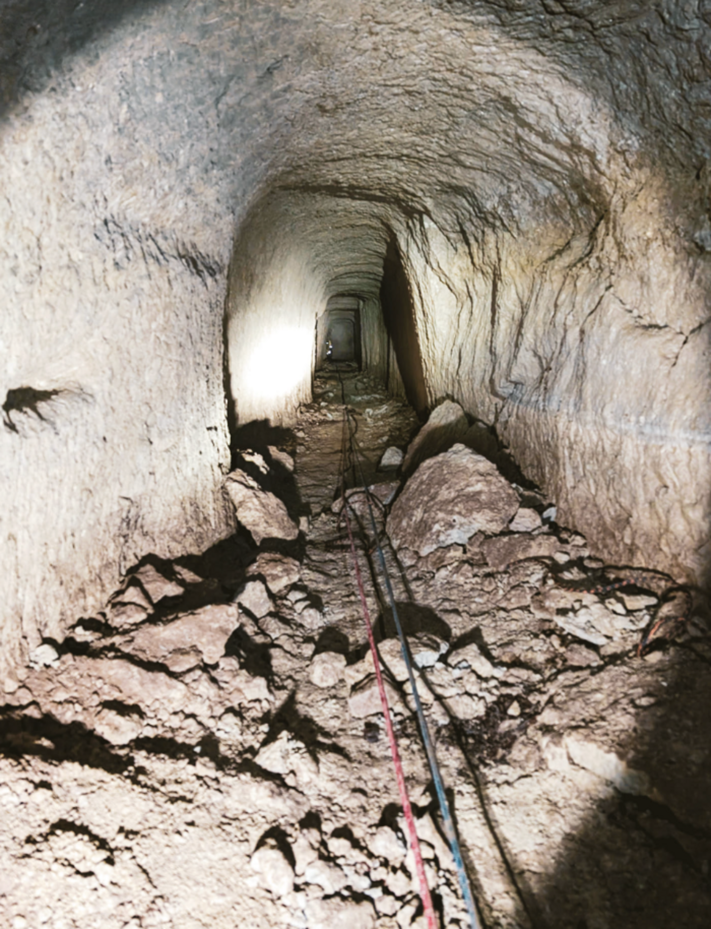 Rescuers Do A Double Take When They Spot Dog Trapped 60 Feet ...