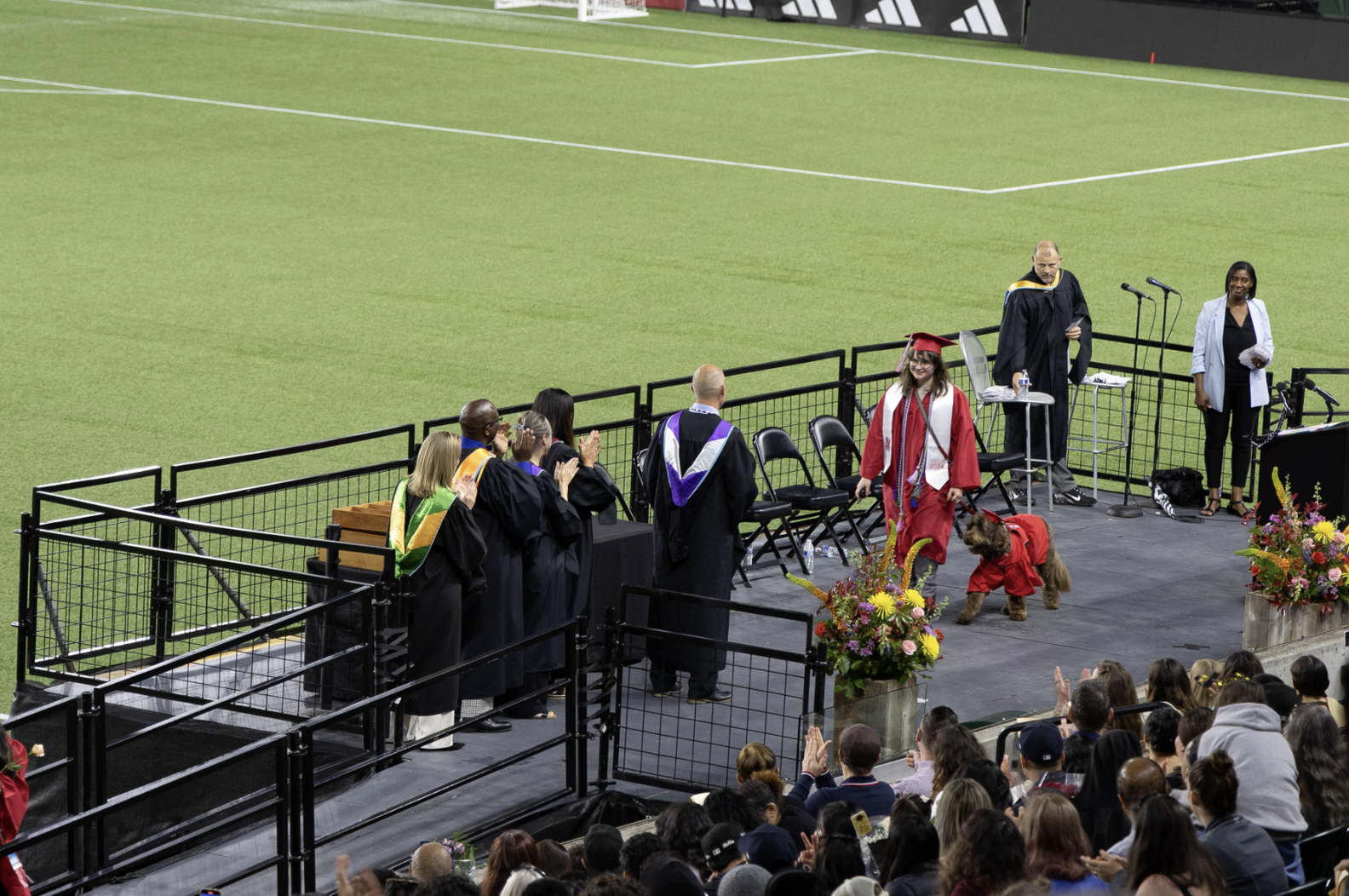Service Dog Celebrates High School Graduation In A Custom Cap And Gown ...
